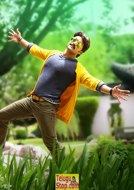 Sher Movie Images-Sher Movie Images - | Sher Movie Images