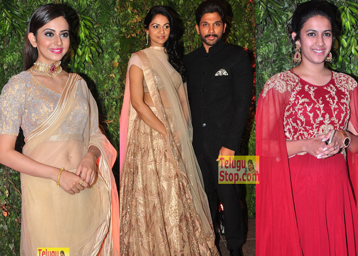 Chiranjeevi daughter Srija Wedding Reception