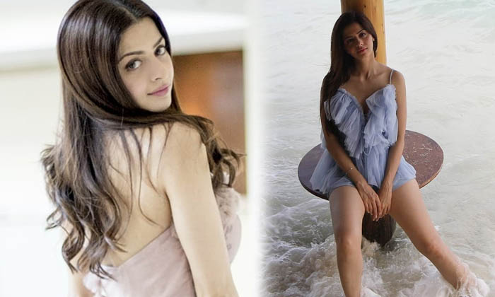 Glamorous actress Vedhika Captivating Clicks