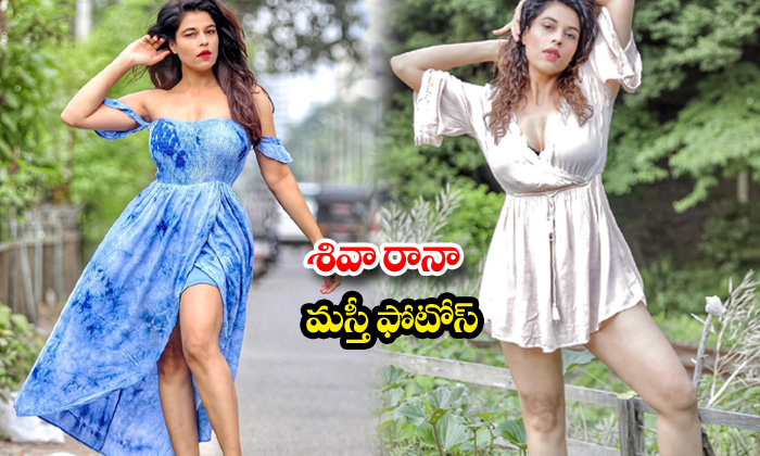 Actress sheeva rana awesome poses