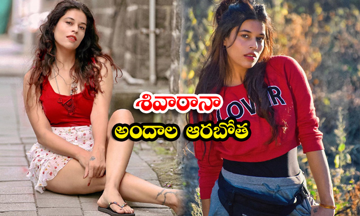 Tollywood model and actress sheeva rana sensational pictures