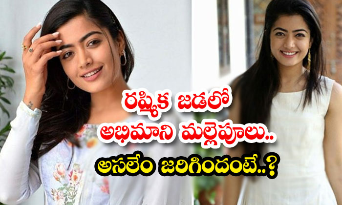 రష్మిక జడలో అభిమాని మల్లెపూలు.. అసలేం జరిగిందంటే..