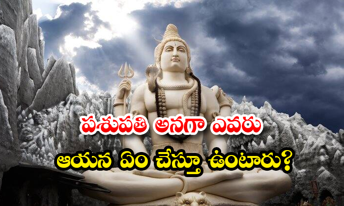 పశుపతి అనగా ఎవరు, ఆయన ఏం చేస్తూ ఉంటారు | Who Is Pashupathi And What He ...