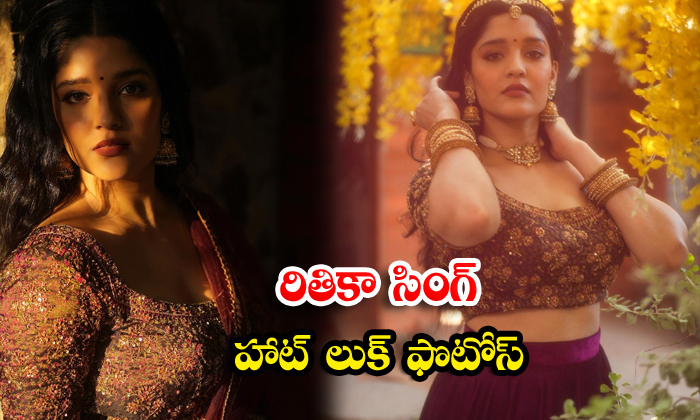 Actress Ritika Singh Sizzling And Hot Images