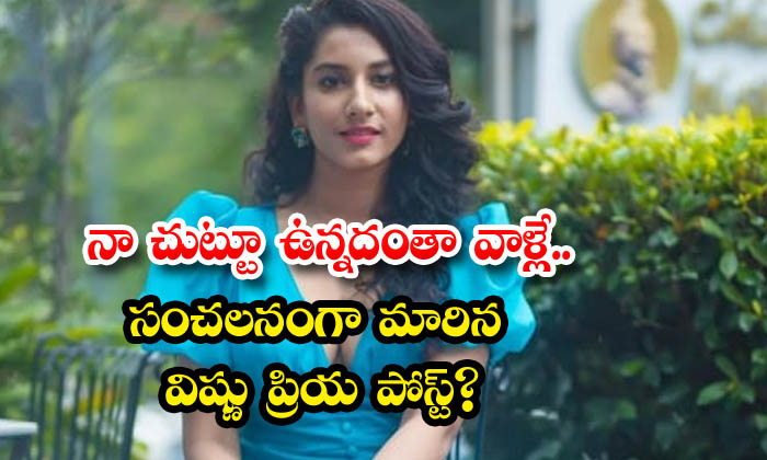 నా చుట్టూ ఉన్నదంతా వాళ్లే.. సంచలనంగా మారిన విష్ణు ప్రియ పోస్ట్