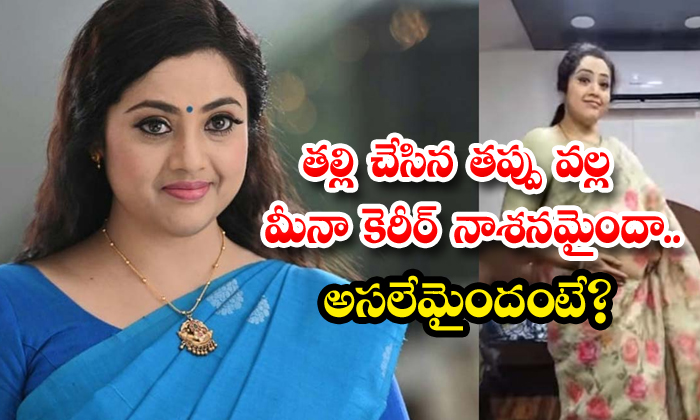 తల్లి చేసిన తప్పు వల్ల మీనా కెరీర్ నాశనమైందా.. అసలేమైందంటే