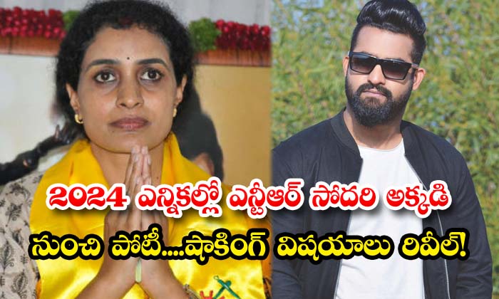 Nandamuri Suhasini NTR : 2024 ఎన్నికల్లో ఎన్టీఆర్ సోదరి అక్కడినుంచి పోటీ .. షాకింగ్ విషయాలు ...