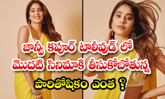 జాన్వీ కపూర్‌ టాలీవుడ్‌ లో మొదటి సినిమాకి తీసుకోబోతున్న పారితోషికం ఎంత | Janhvi Kapoor ...