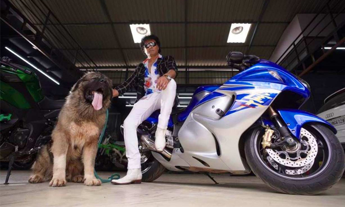 ఓ శునకాన్ని రూ.20 కోట్లు పెట్టి కొన్న హైదరాబాద్‌ నివాసి... ఆ కుక్క ...