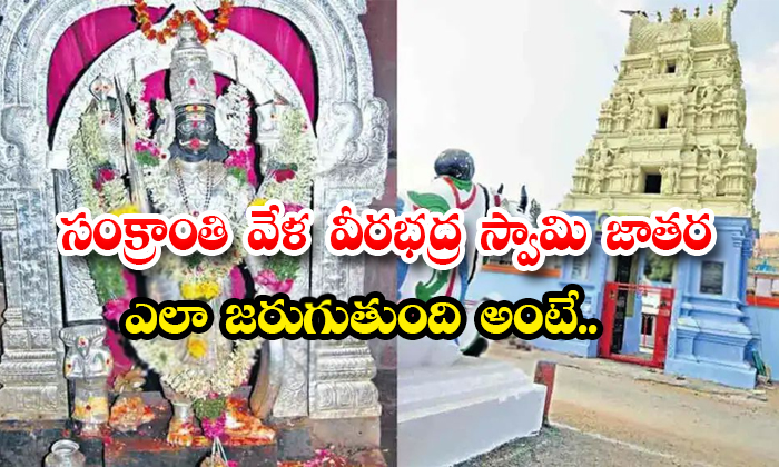 సంక్రాంతి వేళ వీరభద్ర స్వామి జాతర ఎలా జరుగుతుంది అంటే..