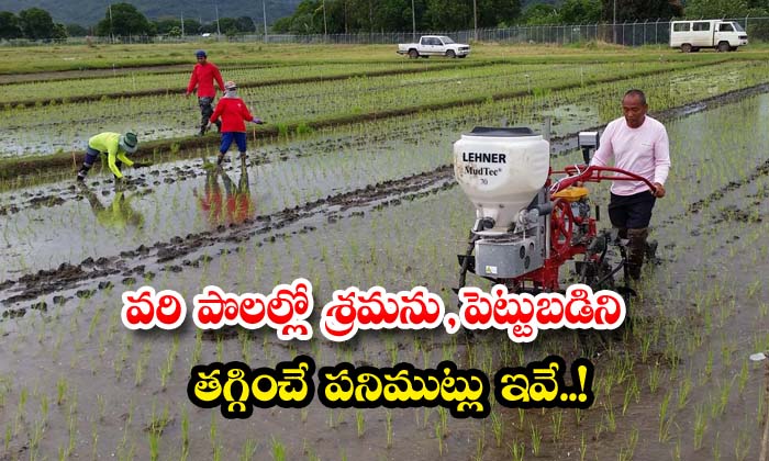 వరి పొలాల్లో శ్రమను, పెట్టుబడిని తగ్గించే పనిముట్లు ఇవే..