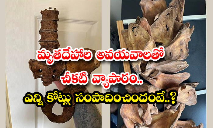 మృతదేహాల అవయవాలతో చీకటి వ్యాపారం.. ఎన్ని కోట్లు సంపాదించిందంటే.. - Dark ...