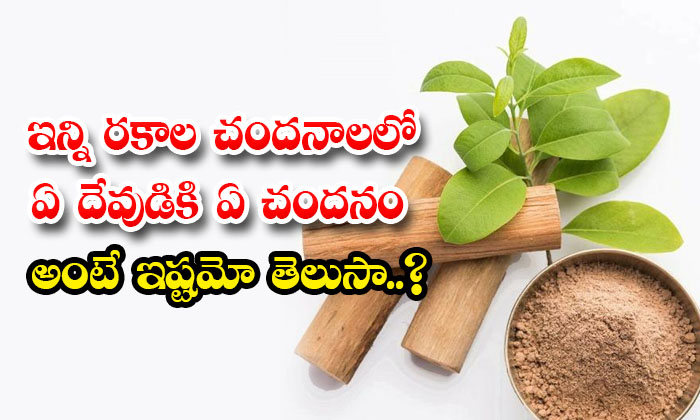 ఇన్ని రకాల చందనాలలో ఏ దేవుడికి ఏ చందనం అంటే ఇష్టమో తెలుసా..