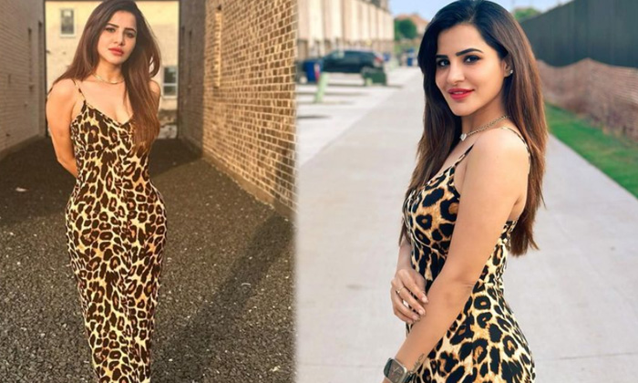 Tollywood Actress Ashu Reddy latest clicks looking awesome