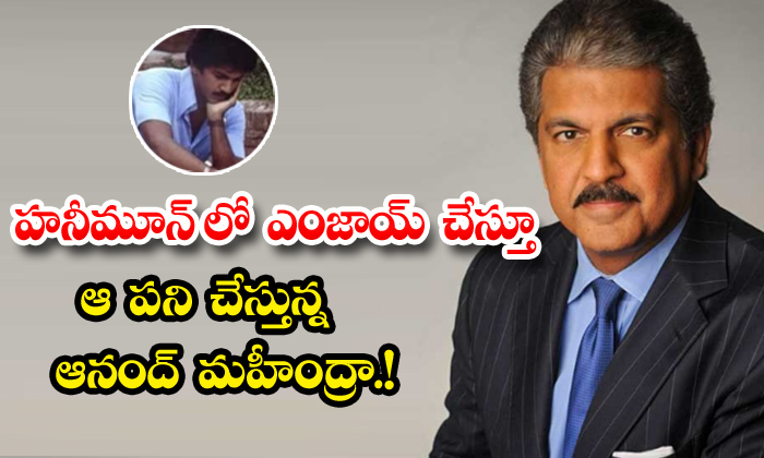 హనీమూన్లో ఎంజాయ్ చేస్తూ ఆ పని చేస్తున్న ఆనంద్ మహీంద్రా Anand