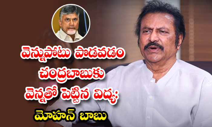 వెన్నుపోటు పొడవడం చంద్రబాబుకు వెన్నతో పెట్టిన విద్య: మోహన్ బాబు