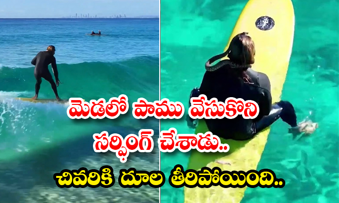 మెడలో పాము వేసుకొని సర్ఫింగ్ చేశాడు.. చివరికి దూల తీరిపోయింది..