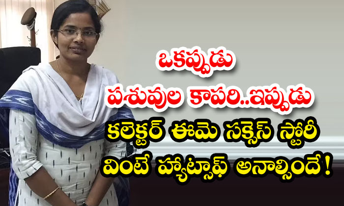 ఒకప్పుడు పశువుల కాపరి.. ఇప్పుడు కలెక్టర్.. ఈమె సక్సెస్ స్టోరీ వింటే హ్యాట్సాఫ్ అనాల్సిందే