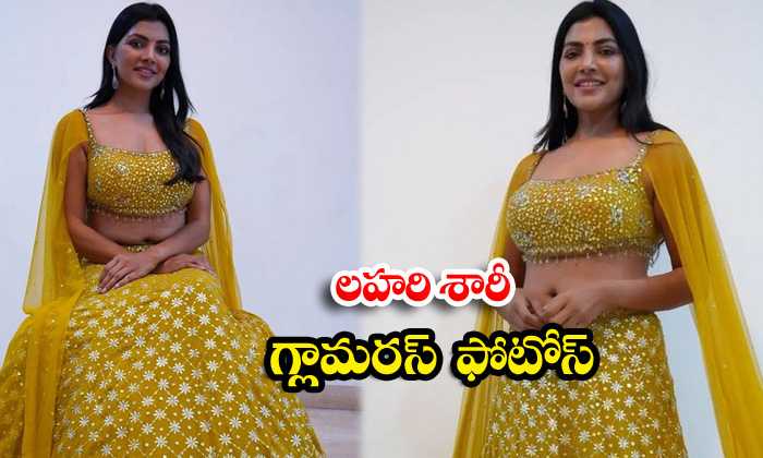 Actress Lahari Shari looks amazing in this outfit-లహరి శారీ గ్లామరస్ ఫోటోలు