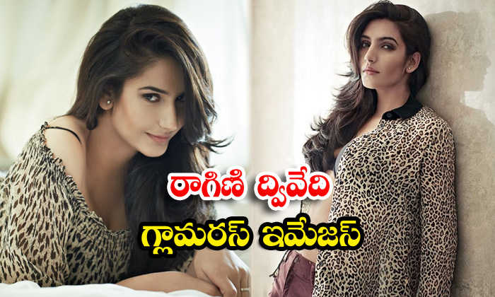 Actress Ragini Dwivedi mesmerizing with her spicy looks