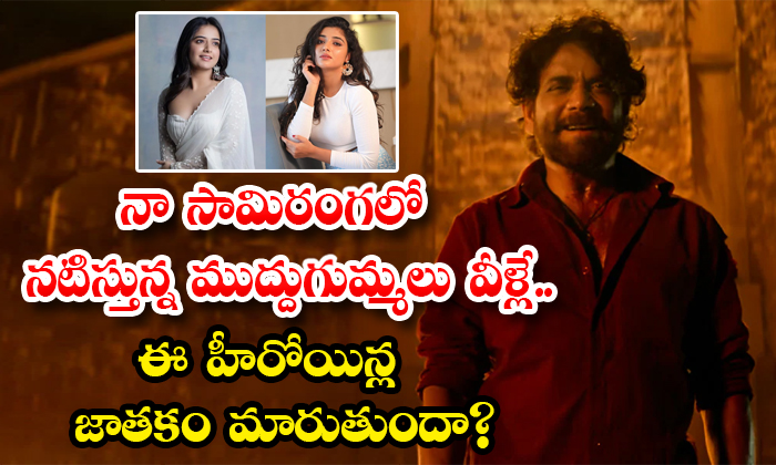 Naa Saamiranga: నా సామిరంగలో నటిస్తున్న ముద్దుగుమ్మలు వీళ్లే.. ఈ ...