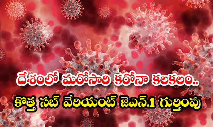 దేశంలో మరోసారి కరోనా కలకలం.. కొత్త సబ్ వేరియంట్ జెఎన్.1 గుర్తింపు