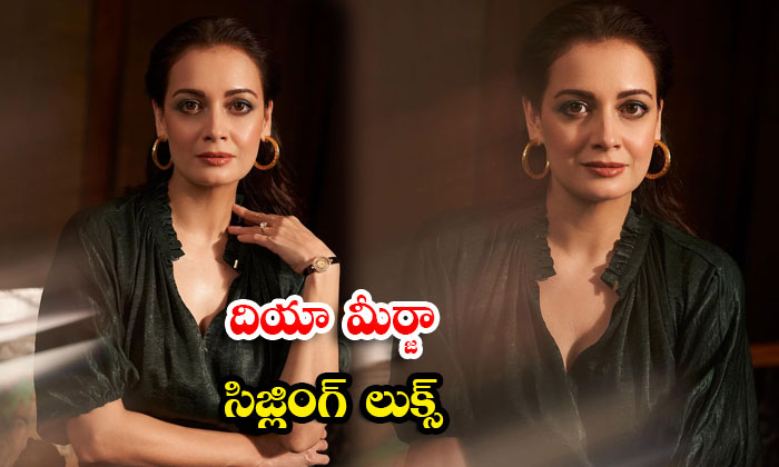 Actress Dia Mirza Rekhi sizzling looks