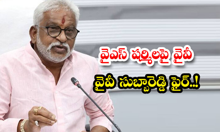 Y V Subba Reddy : వైఎస్ షర్మిలపై వైవీ సుబ్బారెడ్డి ఫైర్..