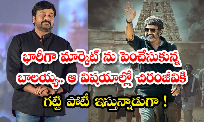 Chiranjeevi Balakrishna : భారీగా మార్కెట్ ను పెంచేసుకున్న బాలయ్య.. ఆ విషయాల్లో చిరంజీవికి గట్టి ...