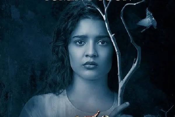 Valari Review : A Horror Thriller with a Social Message - Horror ...