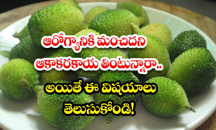 ఆరోగ్యానికి మంచిదని ఆకాకరకాయ తింటున్నారా.‌. అయితే ఈ విషయాలు తెలుసుకోండి